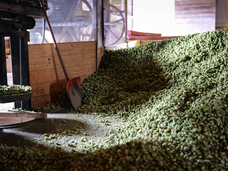 The Best of Sussex | Harvey's Brewery